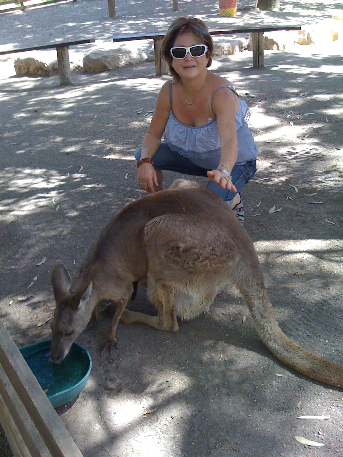 In the shadows of the Gilboa Mountains: a basilica, ancient synagogue ...